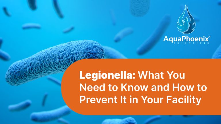 Legionella: What you need to know and how to prevent it - AquaPhoenix
